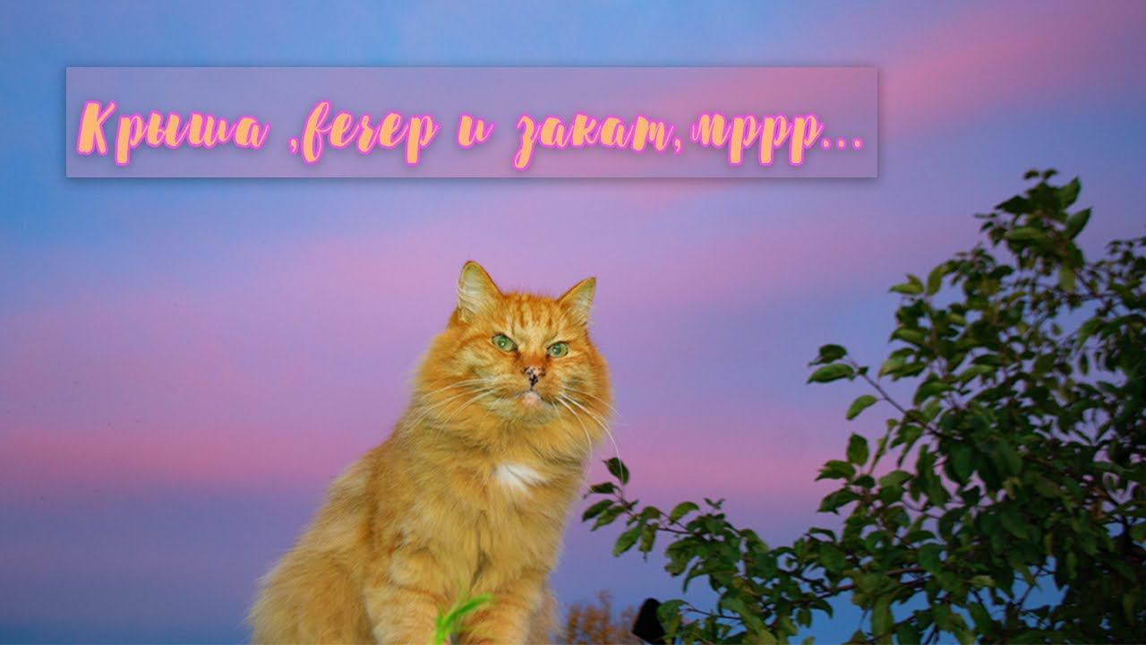 Мрррр