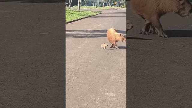 Семья❤️