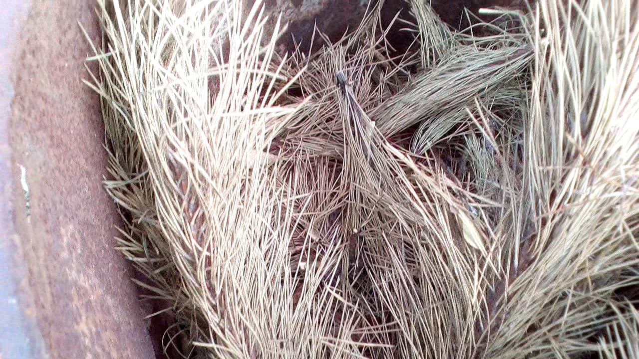 Ноябрь, чем занята!