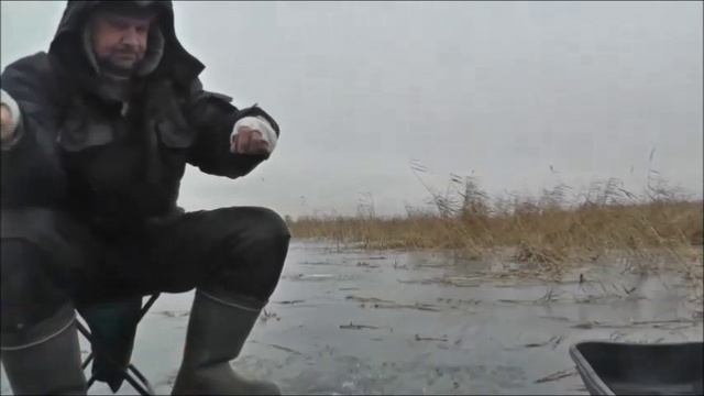 Ловля ротана по первому льду
