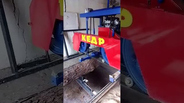 video_2024-03-03_09-17-35