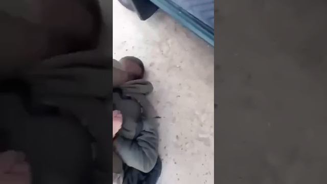 Больше 30-ти украинцев выловили на границе с Румынией. 
Видно же что не рабы,