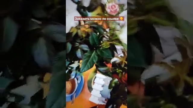 Карточка видео