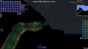 террария гига жук №3