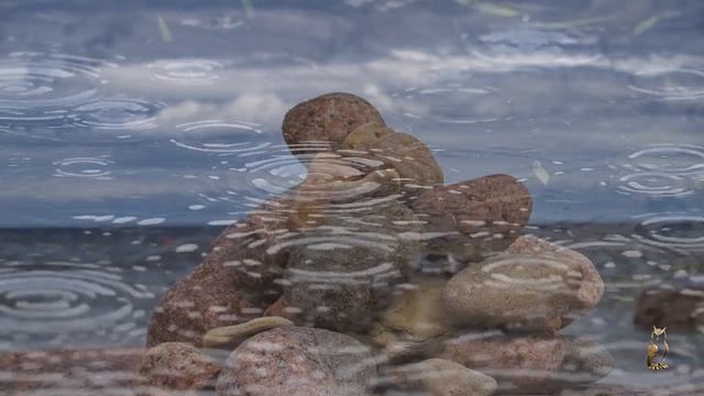 Жизнь в 100 словах.mp4