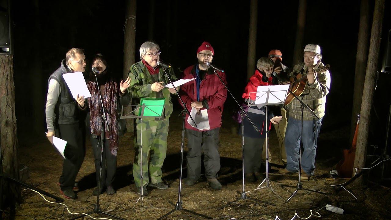 2019. Выступление группы Апостроф на слете куста Калужский. Осень.