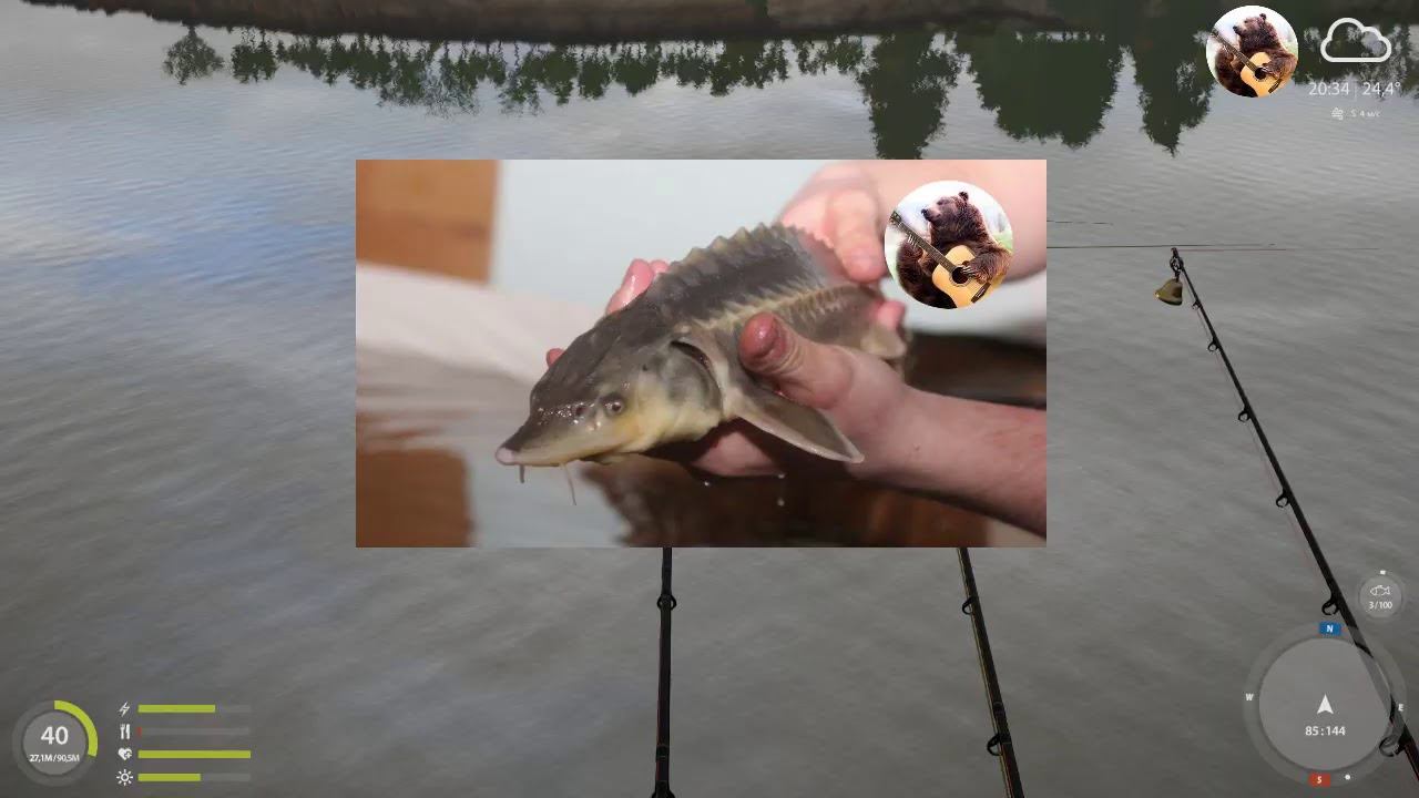 Русская Рыбалка 4 ➤ ДядяСаша ➤ Музыка и рыбалка!