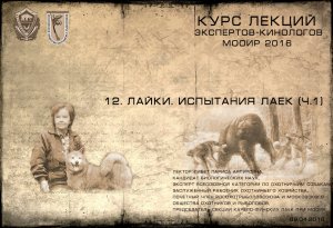 Лекция 12. Лайки. Испытания лаек. (Курсы экспертов-кинологов МООиР 2016)