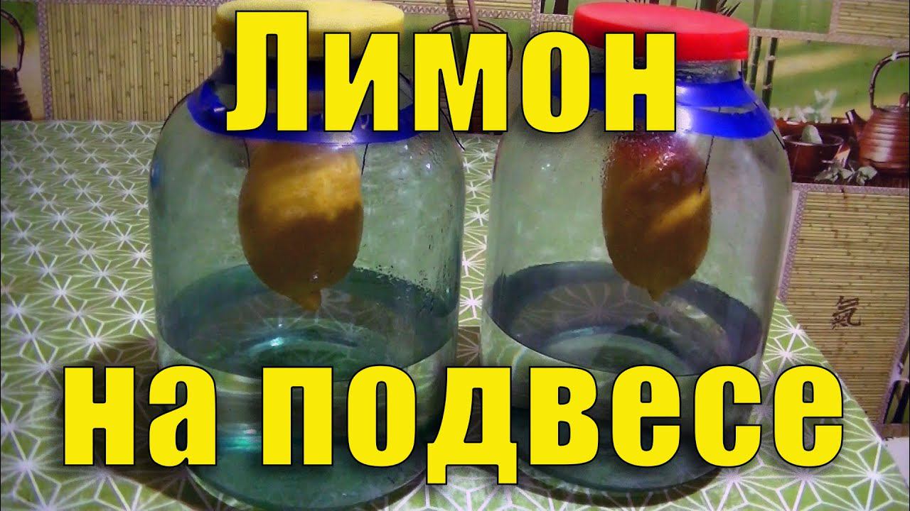 Настойка лимон на подвесе