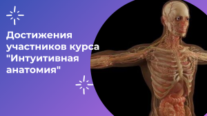 Достижения участников курса по Тетахилинг "Интуитивная анатомия"??