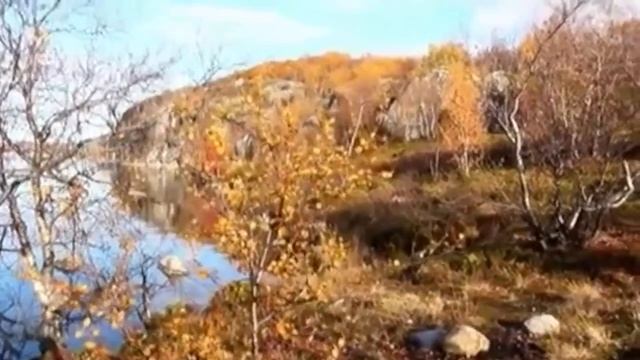 всего лишь гость_ стихи Юлии Вихаревой муз.и исполнение Сапегина Олега.mp4