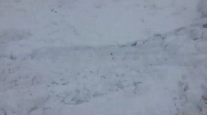 Лабрик.mp4