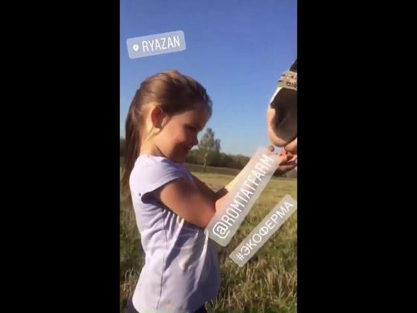 3 мая 2018 г.