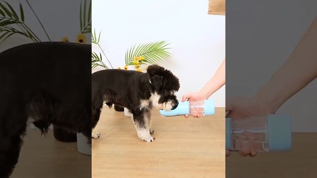 Paeom Trinkflasche