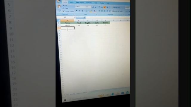 Data entry, MS Excel, forms