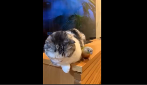 Уйди отсюда!