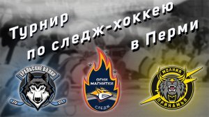 Турнир по следж-хоккею в Перми