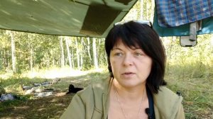 Путешествия с животными. Собаки и кошки в дороге - сложности и возможности.