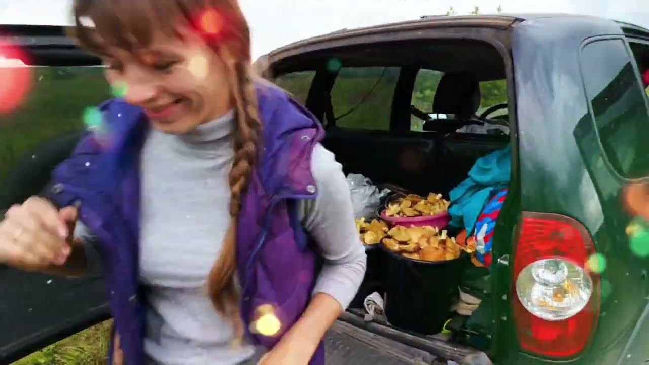 Грибалка 2024) Тамбов.