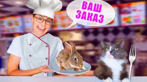 КАКУЮ ЕДУ ВЫБЕРЕТ КОШКА? КИСА АЛИСА САМА ВЫБИРАЕТ ЧТО ЕСТЬ ЧЕЛЛЕНДЖ