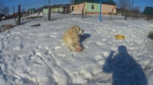 Погода шепчет, мы вышли погулять
