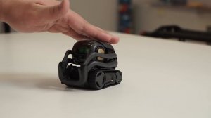 Wild Robot is the New Crab King