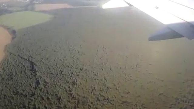 Посадка в Домодедово