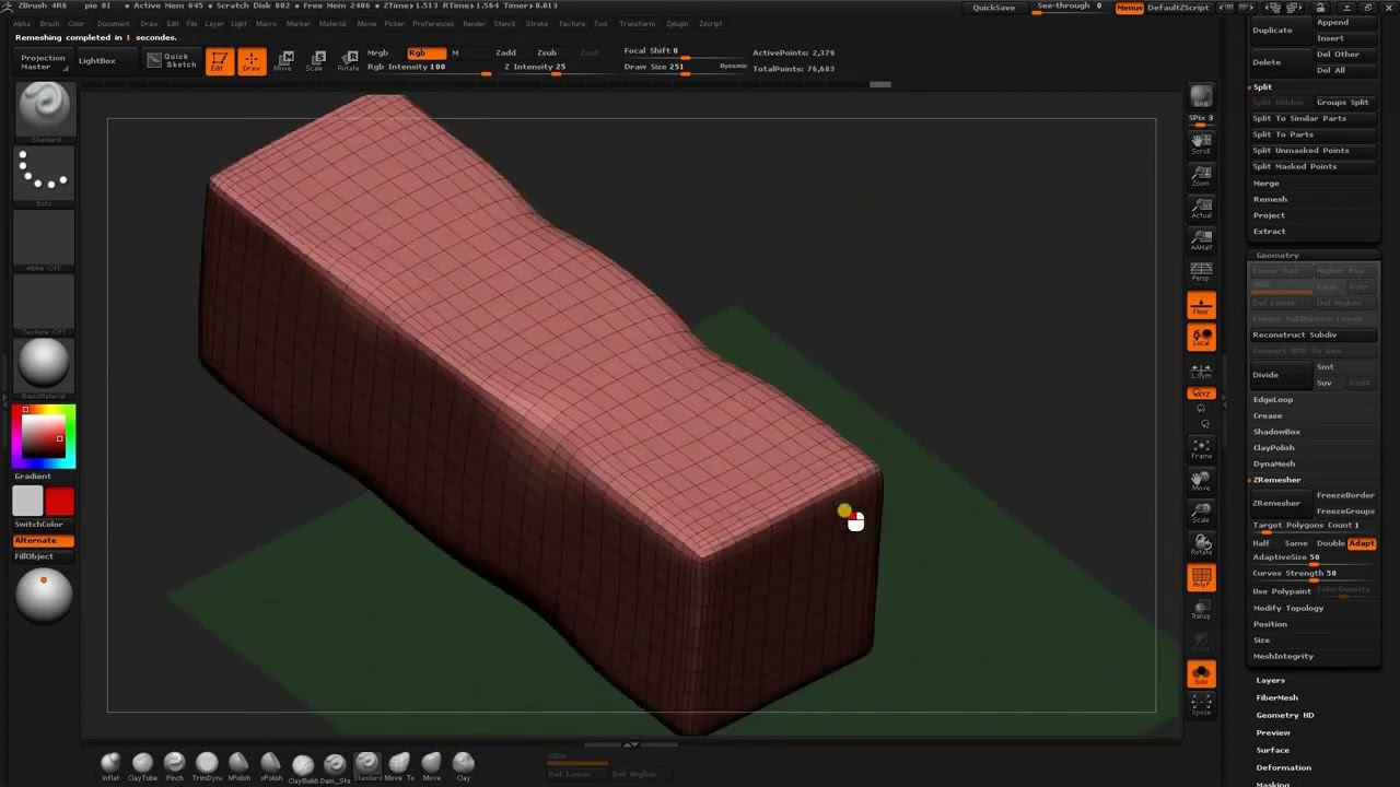 Anat Vol 03 03  Base Structure Of The Foot