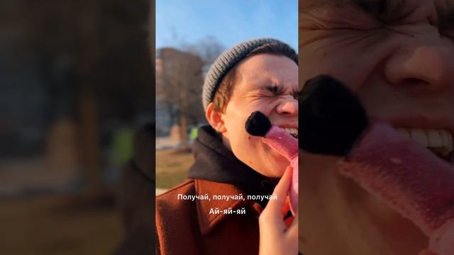 Мама , папа , свин - собака