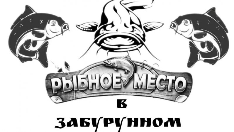 Мини подборка с рыбалки