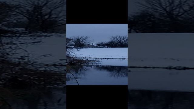 Луганск ЗАМЕЛО СНЕГОМ! Погода в Луганске 5 декабря 2021. #shorts