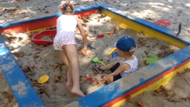 во дворе 20.08.2020