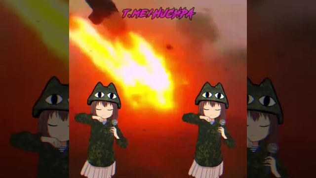 няншиконоко кошшшшшшш