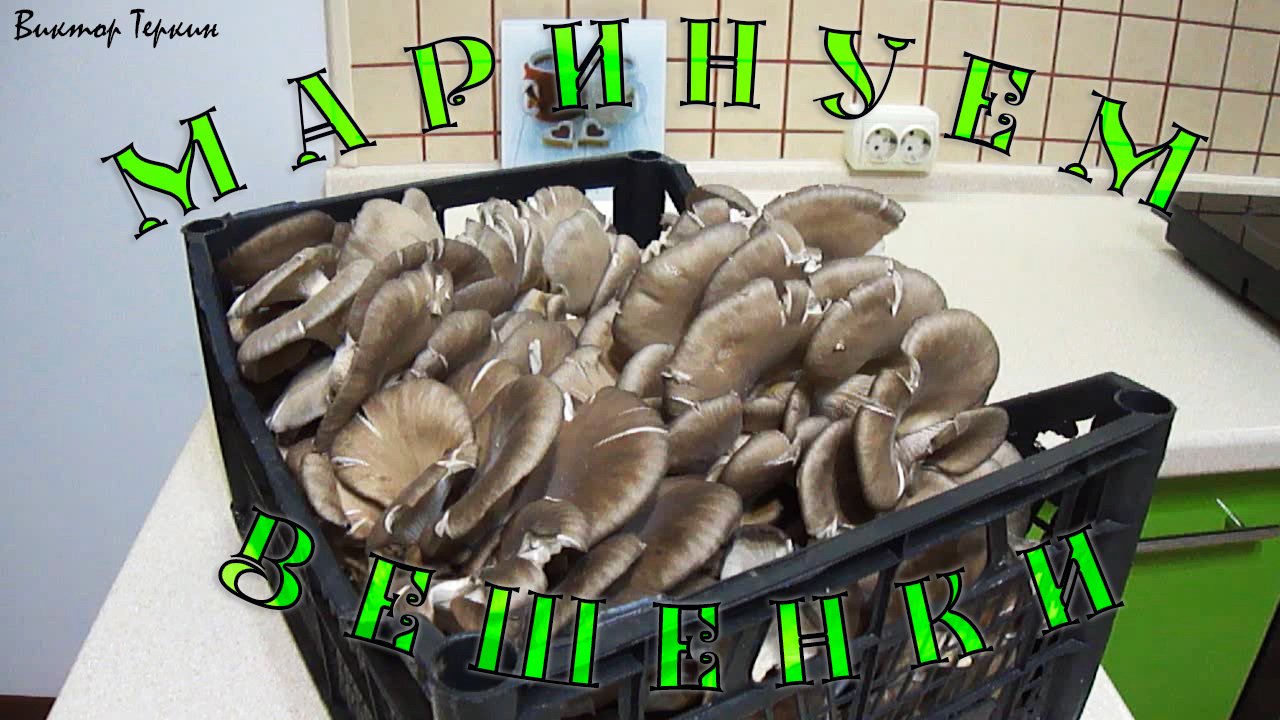Маринованные грибы. Вешенки