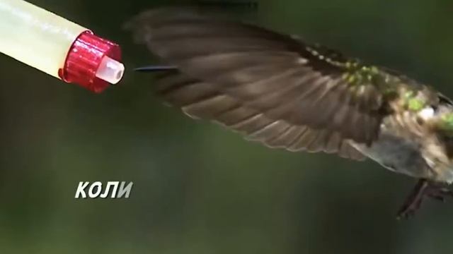 Скоростные камеры машинного зрения