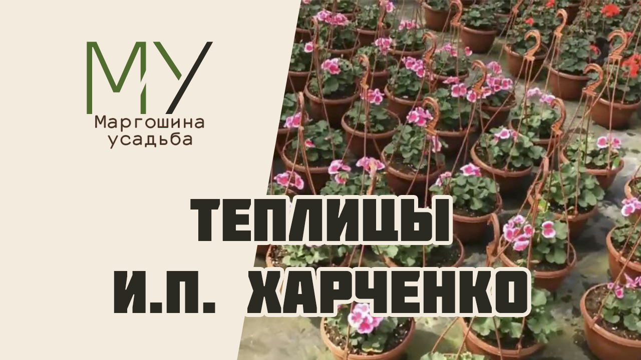 Обзор тепличного комплекса И.П. Харченко. Часть 3