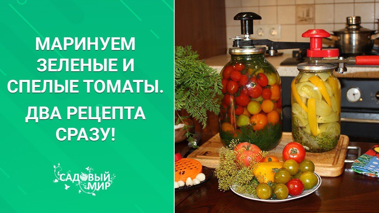 МОРКОВНУЮ БОТВУ В ДЕЛО! КОНСЕРВИРУЕМ на зиму вместе с томатами