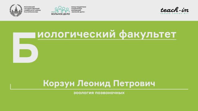 5. Надкласс Рыбы. Зоология позвоночных - Корзун Л. П. Teach-in.