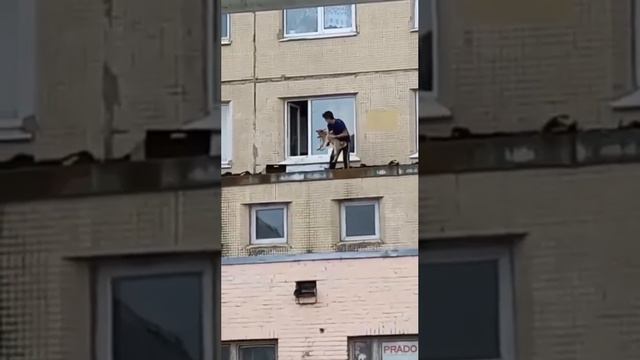Житель Питера придумал самый ленивый способ гулять с собакой