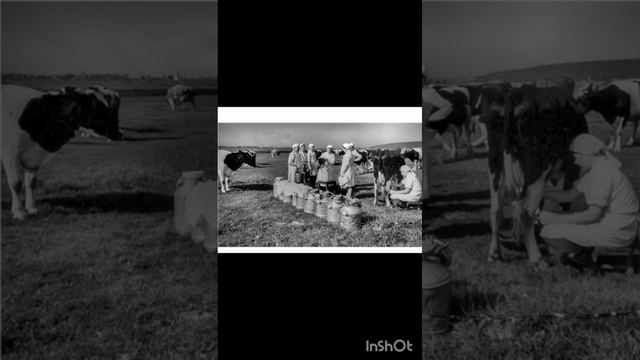 «Горжусь своей прабабушкой»