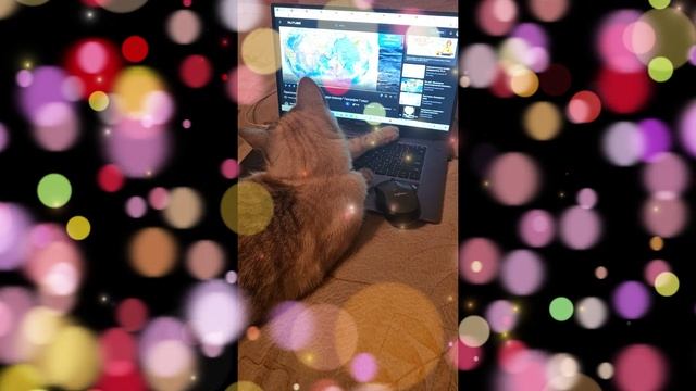 Трудовые будни Семена.