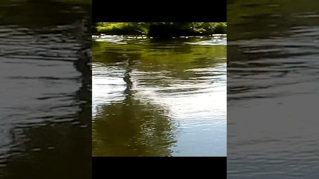 VID_20230801_143445.3gp