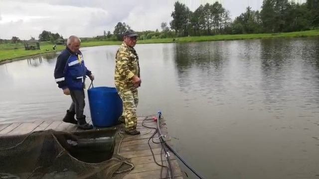 VID-20220621-WA0019.mp4