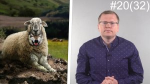 День города Глазова, фасилитаторы Росатома, ужесточение масочного режима, Кибер-Удмуртия будущего