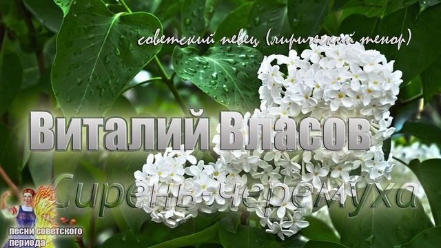 Сирень-черемуха - Виталий Власов ?