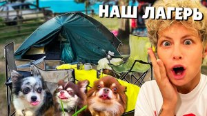 ТУР ПО КЕМПИНГУ! Живем с собаками неделю на море в палатке. Как устроен палаточный лагерь на пляже?