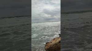 Архипо-Осиповка 22 ноября 2023 года 🍂 Шторм 🌊 Видео: Ольга Калитеева