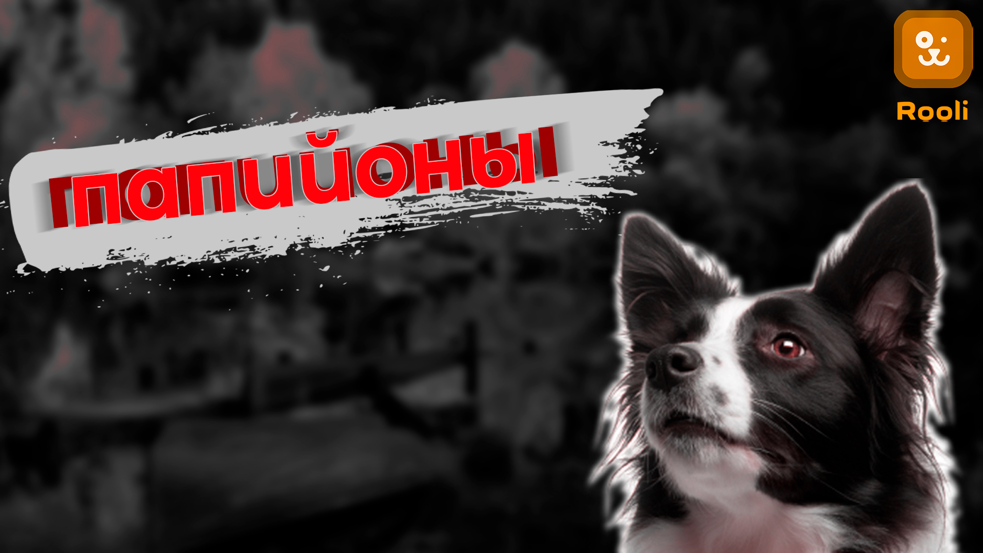 Папийоны: Короли Собачьего Мира" – рассказ о популярной породе собак, их характере и уходе.