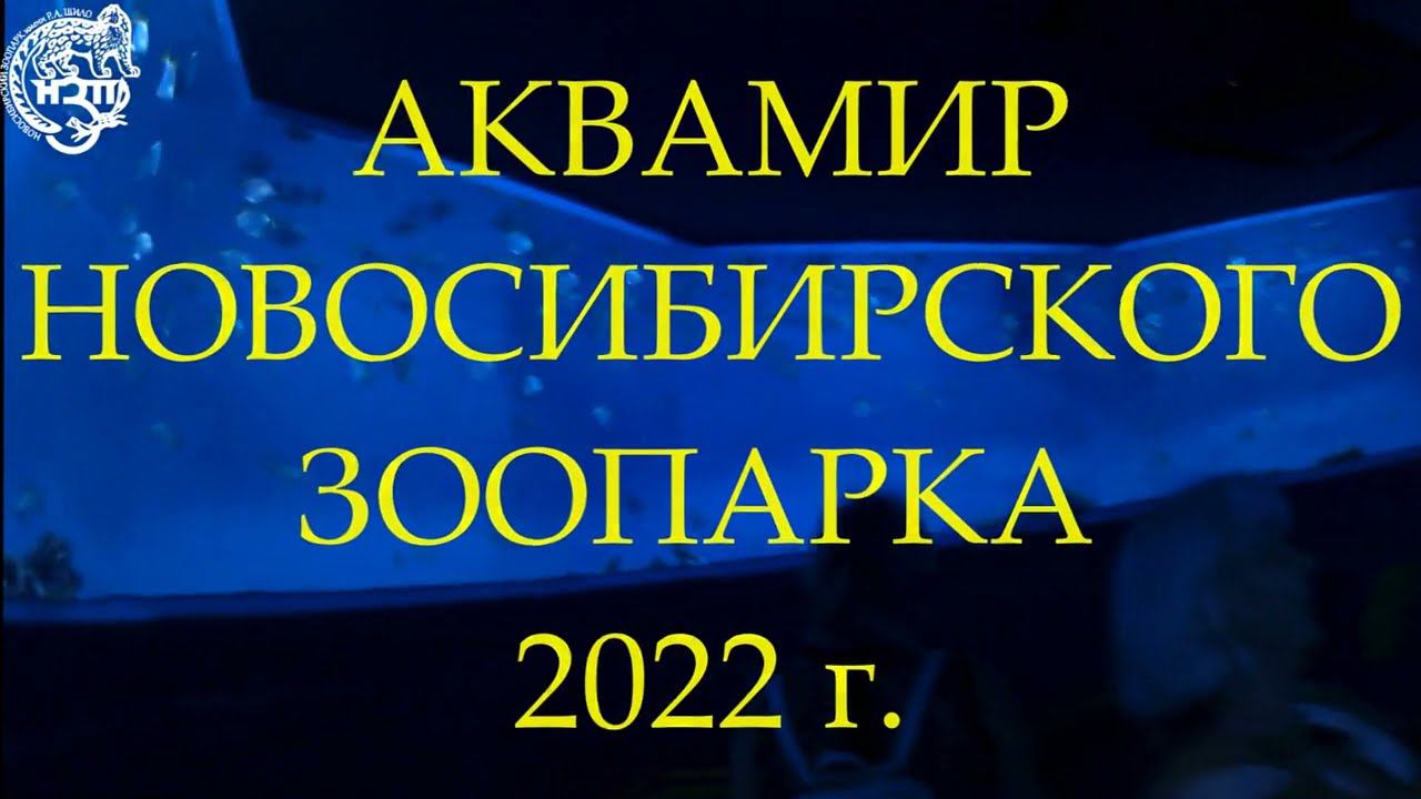 Океанариум в ЗООПАРКЕ Новосибирск .
