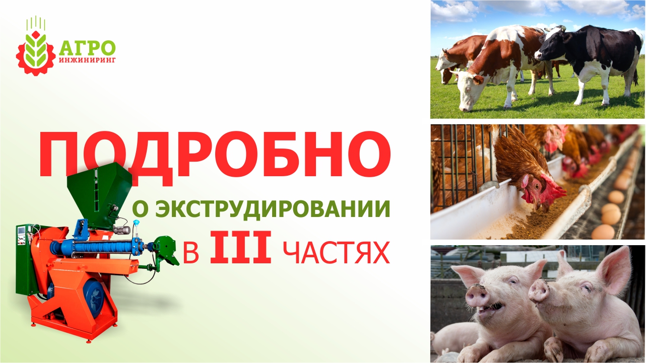 Что такое экструдированные корма. Как делаются. Как влияют на животных.